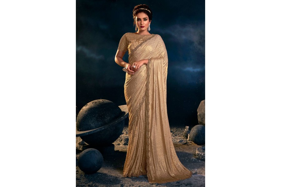Net Saree with blouse in Beige colour 6314